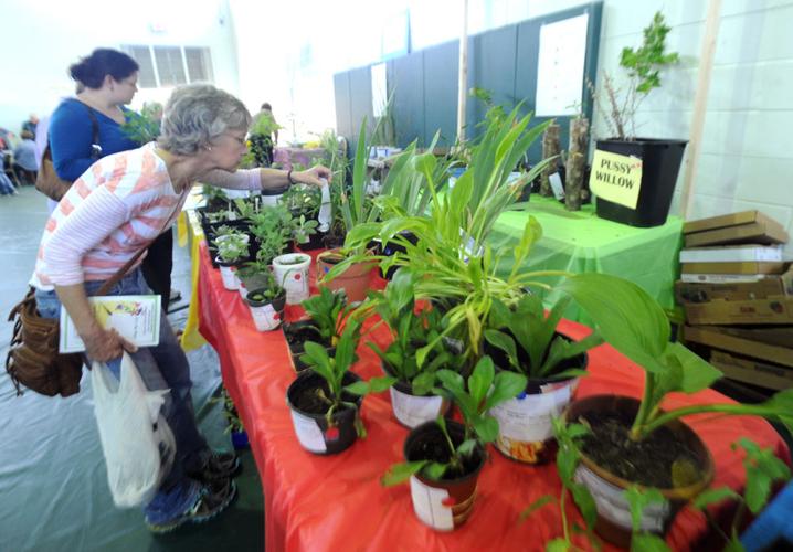Master gardeners Garden Show | Multimedia | dailyadvance.com