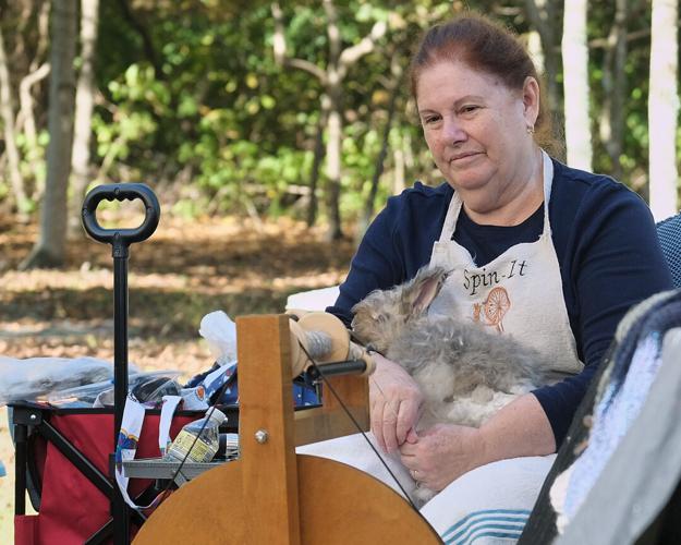 Park comes alive: 2,000 attend first Dismal Day since 2019 | Local News ...