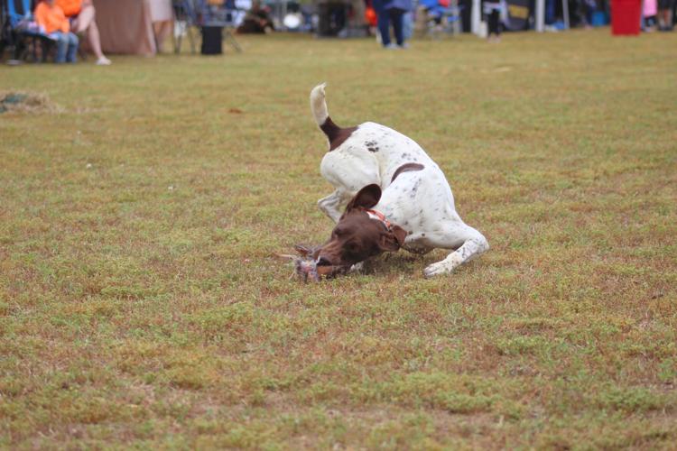 Perquimans Outdoorsman Expo held May 12 | | dailyadvance.com