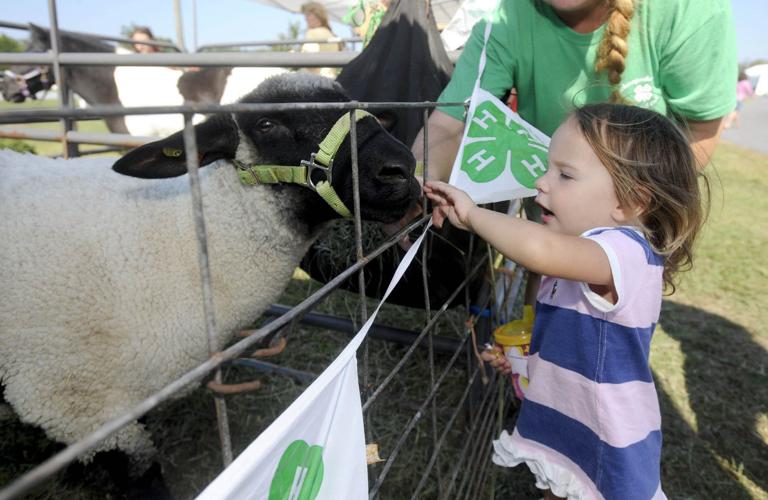 Currituck festival highlights rural life | Local News | dailyadvance.com