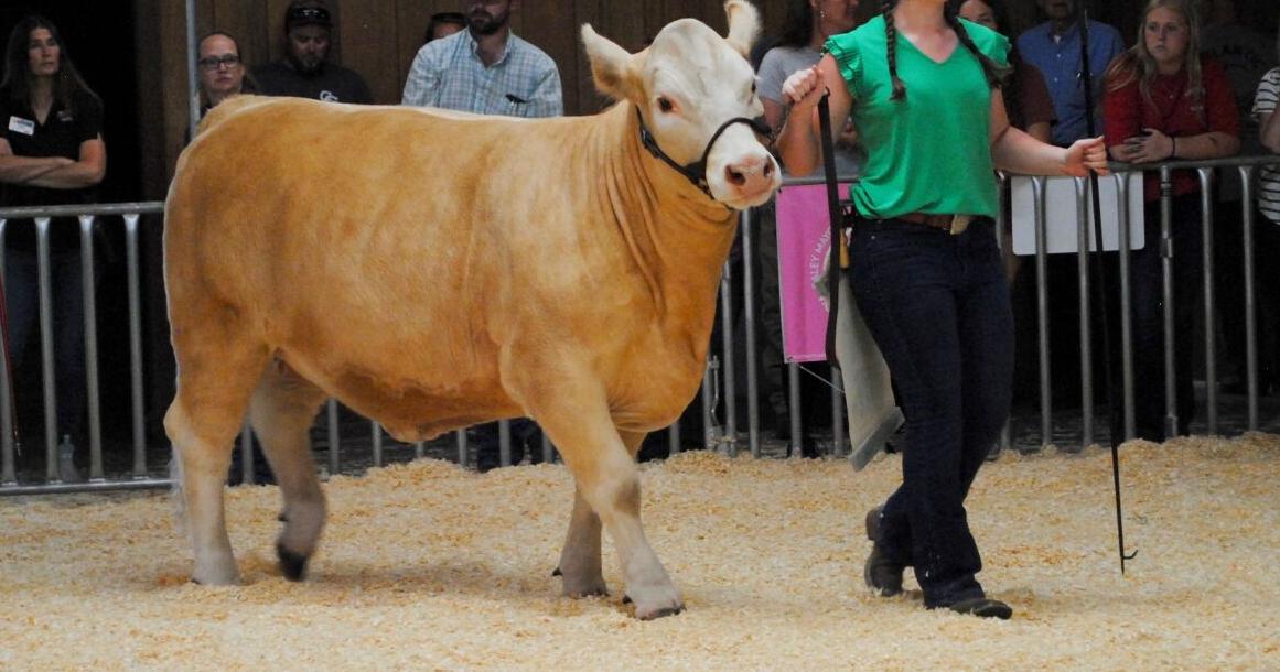 Wnek, Meads win top awards at annual Llivestock Show | Feature Story | dailyadvance.com