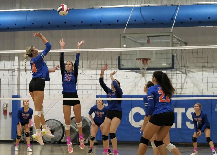 Albemarle Lady Colts to play for state title | Multimedia ...