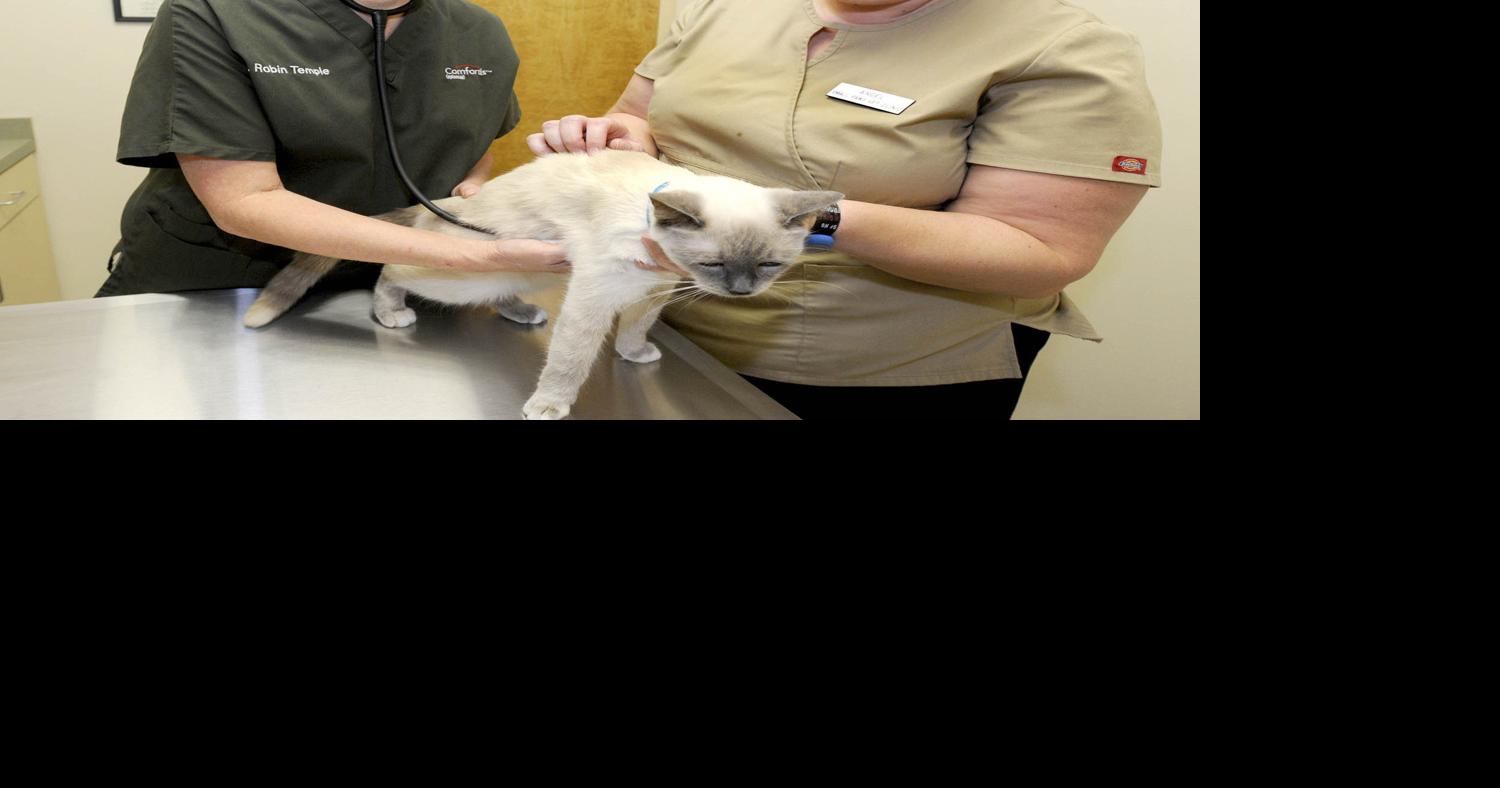 Small Paws Veterinary Clinic opens on north side of EC | Local News ...
