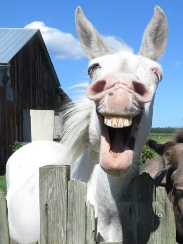 Camden TDA announces winners of 3rd photo contest | Feature Story ...