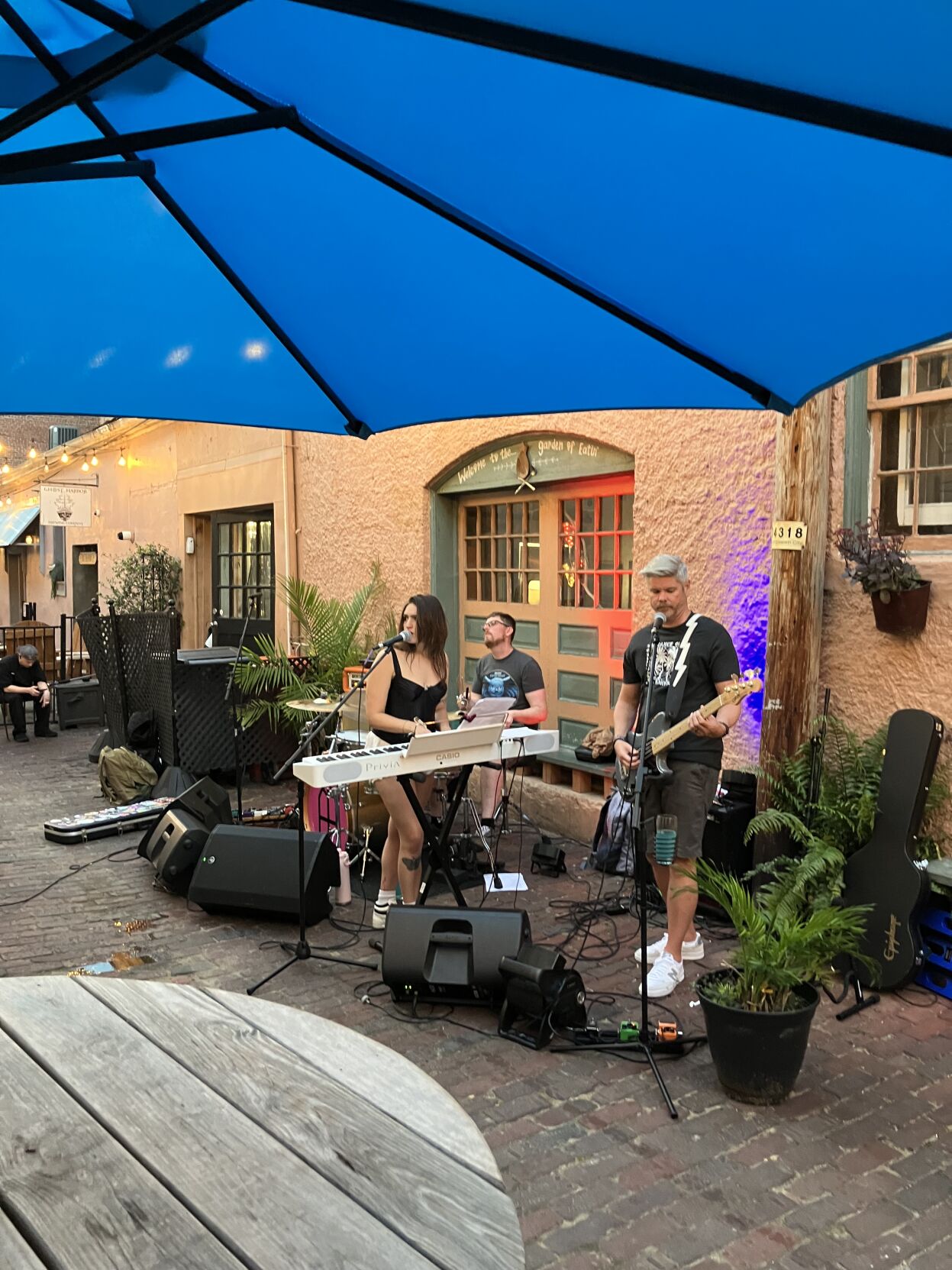 Love, marriage and rock and roll with Post-American Gothic | Feature ...