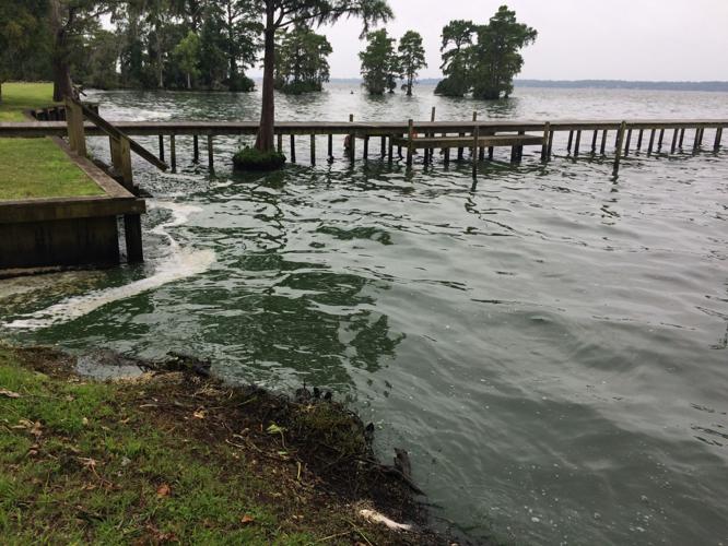 Algal bloom spurs concerns: Chowan River has blue-green hue | Local ...