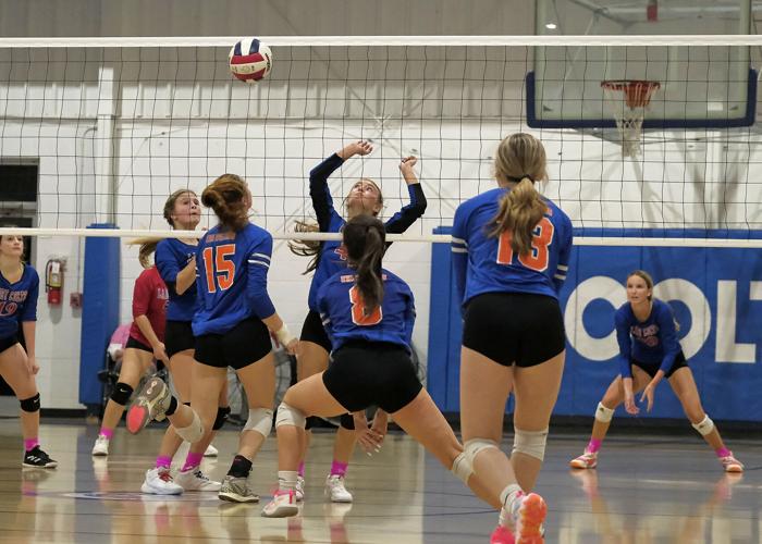 Albemarle Lady Colts to play for state title | Multimedia ...