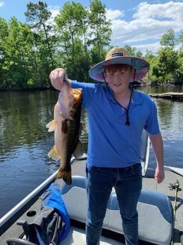 Sweeney: Cobia season is here | Opinion | Local | dailyadvance.com