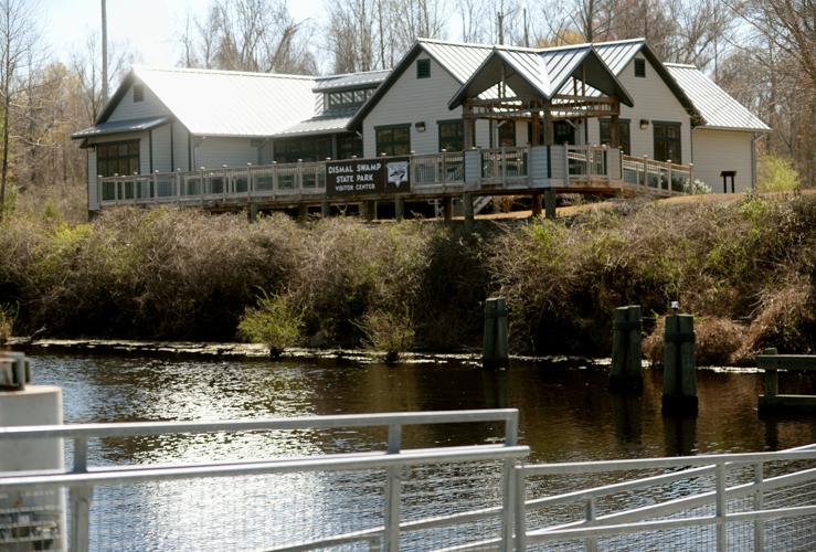 Nice day at Dismal Swamp State Park | Multimedia | dailyadvance.com