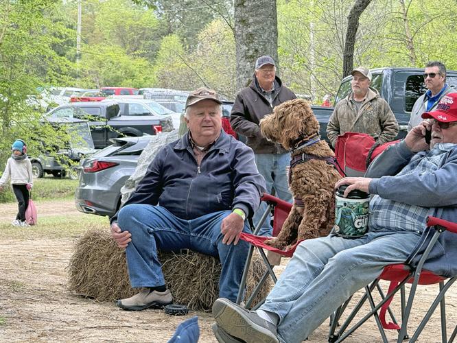 Inaugural bluegrass festival debuts in Windsor | Features ...