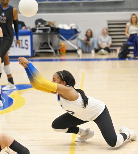 Lady Bears bounce back with division sweep | Sports | dailycorinthian.com