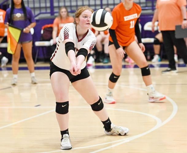 Lady Aggies put eight on all Division 2-3A volleyball team | Sports ...
