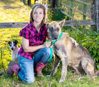 Animal shelter gets interim director | News | dailycorinthian.com