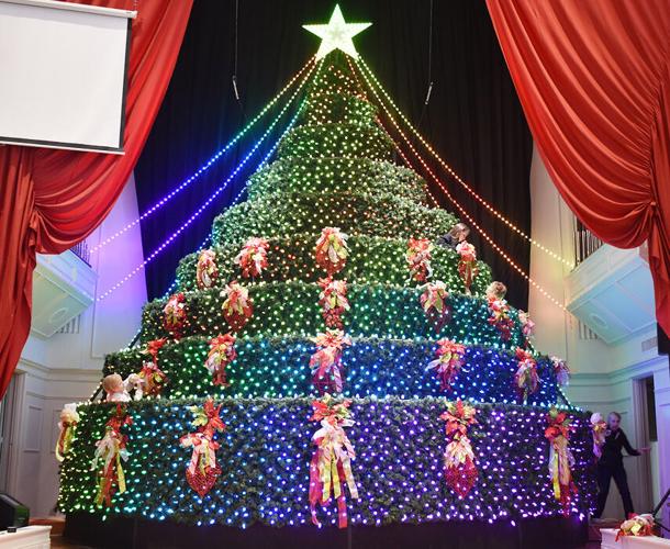Christmas comes to life with Singing Christmas Tree | News ...