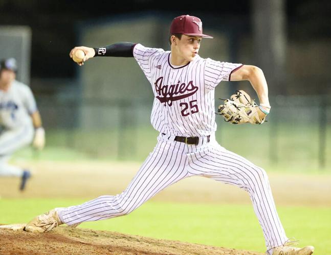 Aggies, Lions walk it off in victories | Sports | dailycorinthian.com