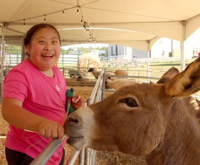 Alcorn County Fair opens Friday morning with special guests | News ...