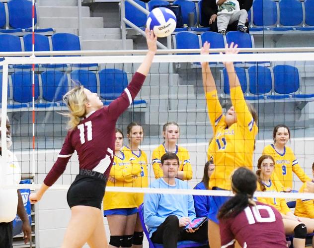 Thrasher wins program’s first volleyball game | Sports ...
