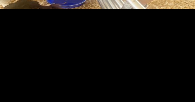 Alcorn County Fair begins Sept. 14 | News | dailycorinthian.com