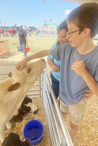Alcorn County Fair begins Sept. 14 | News | dailycorinthian.com
