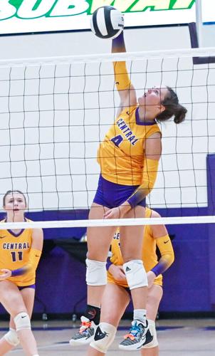 Lady Bears claw back to down Belmont in five-set thriller | Sports ...