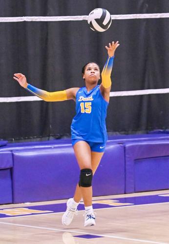 Lady Bears rack up in Division 1-3A awards | Sports | dailycorinthian.com