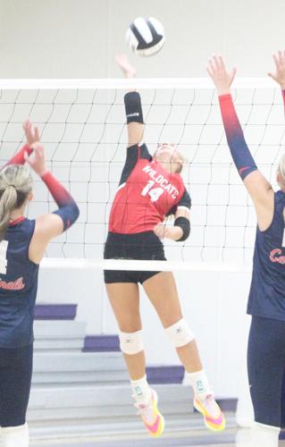 Lady Bears sweep to gold bracket win | Sports | dailycorinthian.com