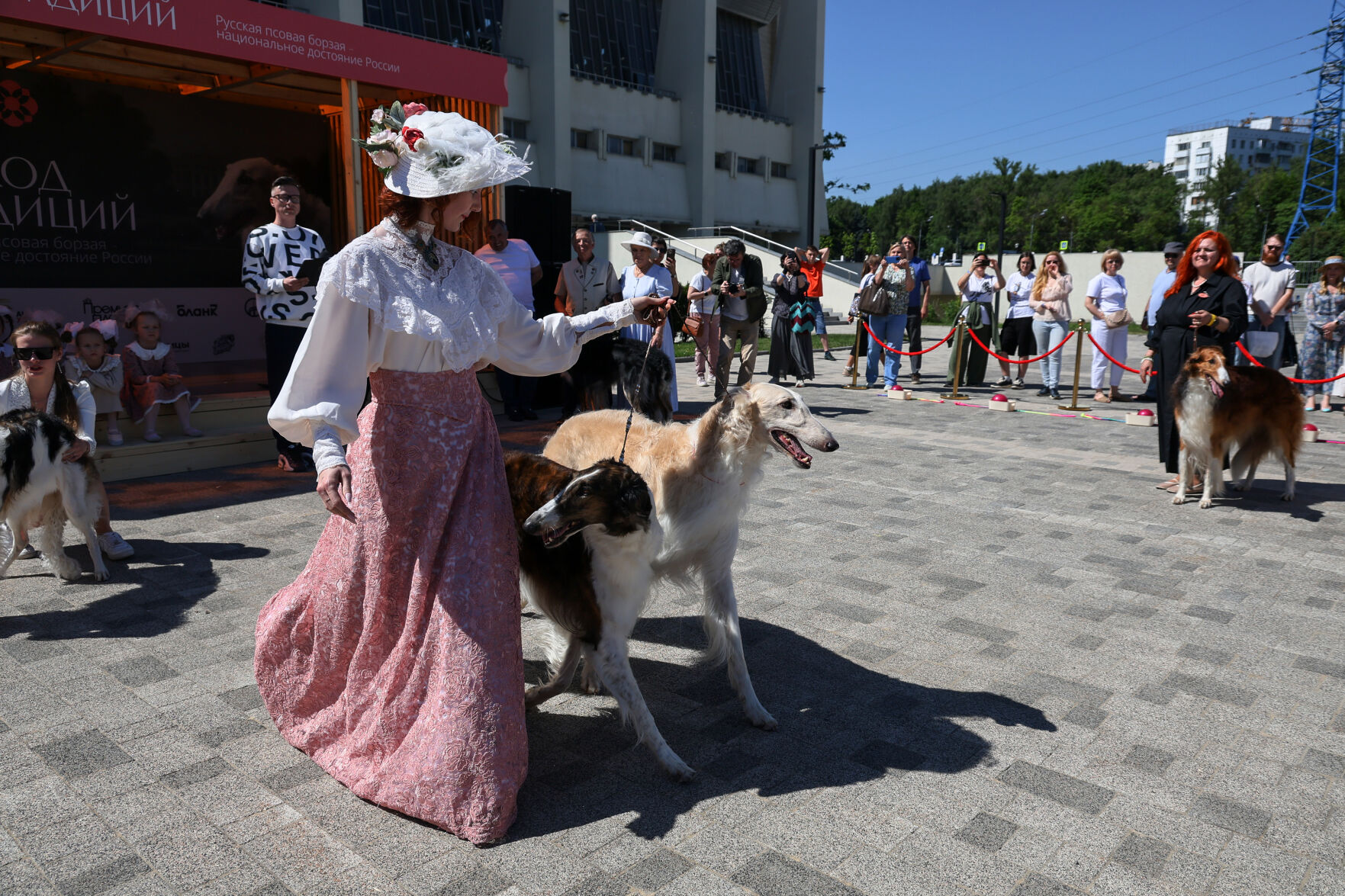 Russia Dog Show | World | dailycorinthian.com