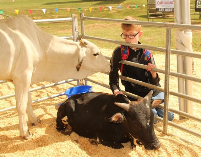 County fair opens for special needs students Thursday morning | News ...