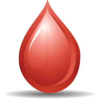 Blood drive brings college battle | News | dailycorinthian.com