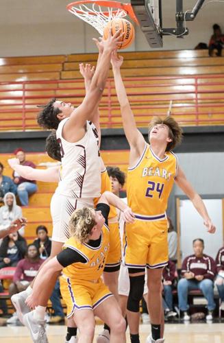 Lady Bears, Lions dominate on way to reaching finals | Sports ...