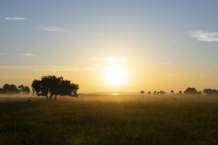 Florida's Wildlife Corridor Is Turning Five! Live Wildly Celebrates ...
