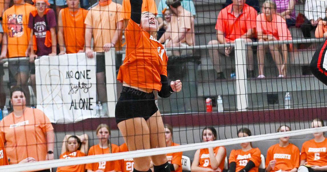 Lady Aggies put eight on all Division 2-3A volleyball team | Sports ...