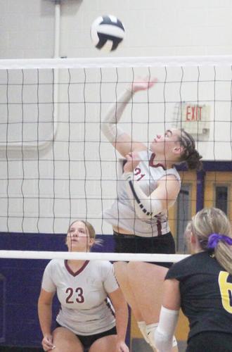 Lady Bears sweep to gold bracket win | Sports | dailycorinthian.com