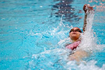 NU swimming and diving anticipates upcoming seasons as new leaders ...