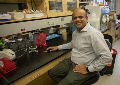 UNL professor develops video game to cultivate agricultural ...