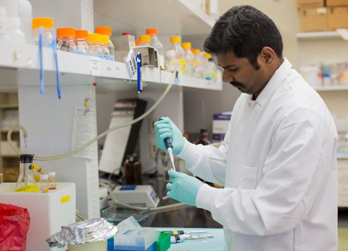 UNL researchers discovered mutation in Zika virus | News ...