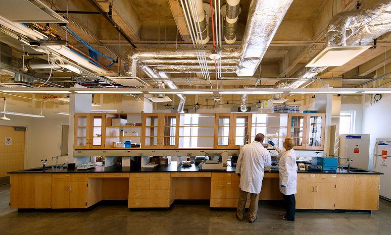 Innovation Campus opens wet-lab business incubator | News ...
