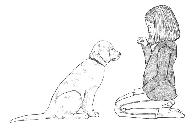 Study: Dogs base actions on human behavior | News | dailynebraskan.com