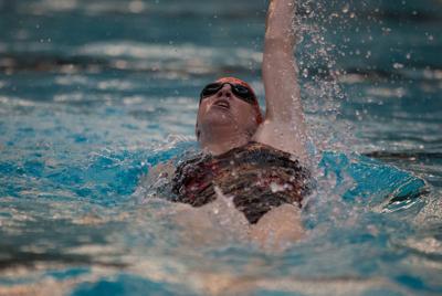 NU swimming and diving hopes to continue strong start | Sports ...