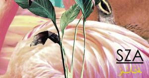 warm winds sza sample