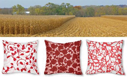 Researchers seek funding to make clothing with corn fiber | News ...