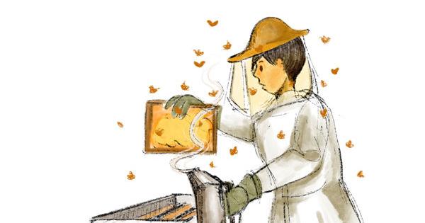 UNL Bee Lab to offer course for beginner beekeepers | News ...