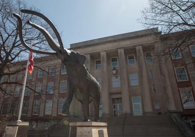 New Morrill Hall exhibit showcases museum’s past, previews upcoming ...