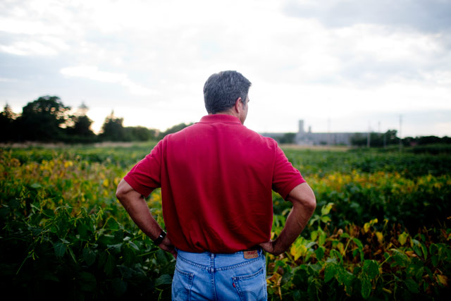 UNL partners with crop science company to create soybean variety | News ...