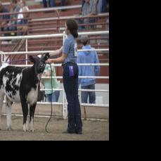 UNL students show animals at Nebraska State Fair | News ...