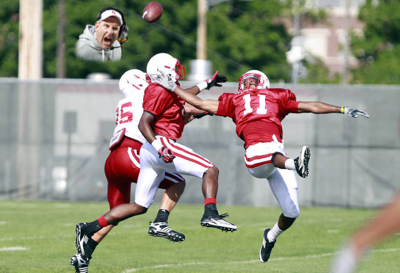 Bo Pelini caught yelling at players from bushes | Halfasskan ...