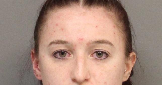 Meth seized in west Lincoln home, UNL student and three others arrested ...