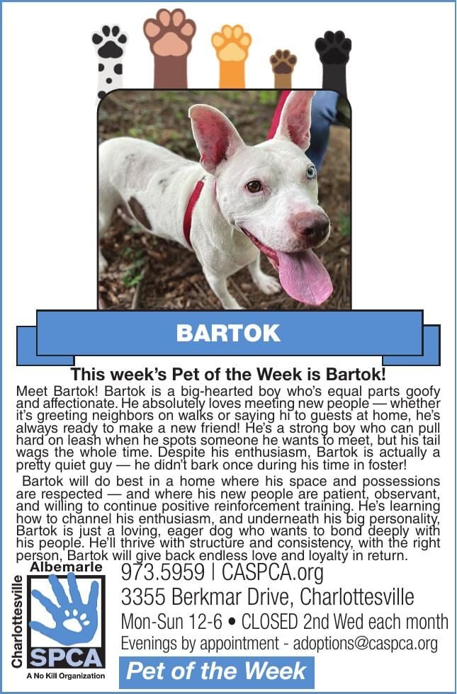 HOUSE ACCOUNT-RETAIL