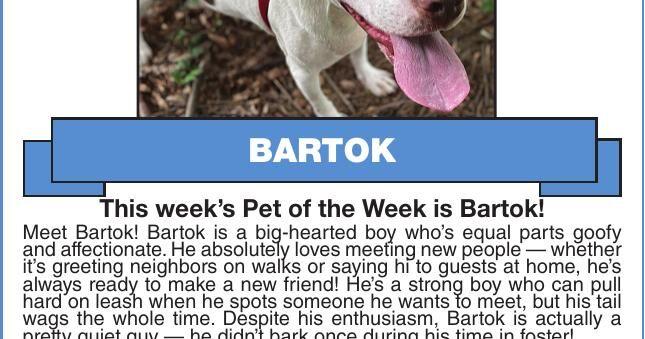 HOUSE ACCOUNT-RETAIL