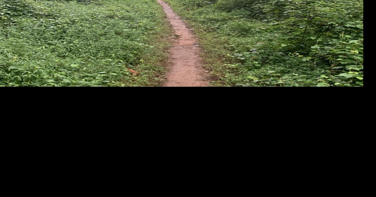 Guided walk of Biscuit Run Park set for July 10